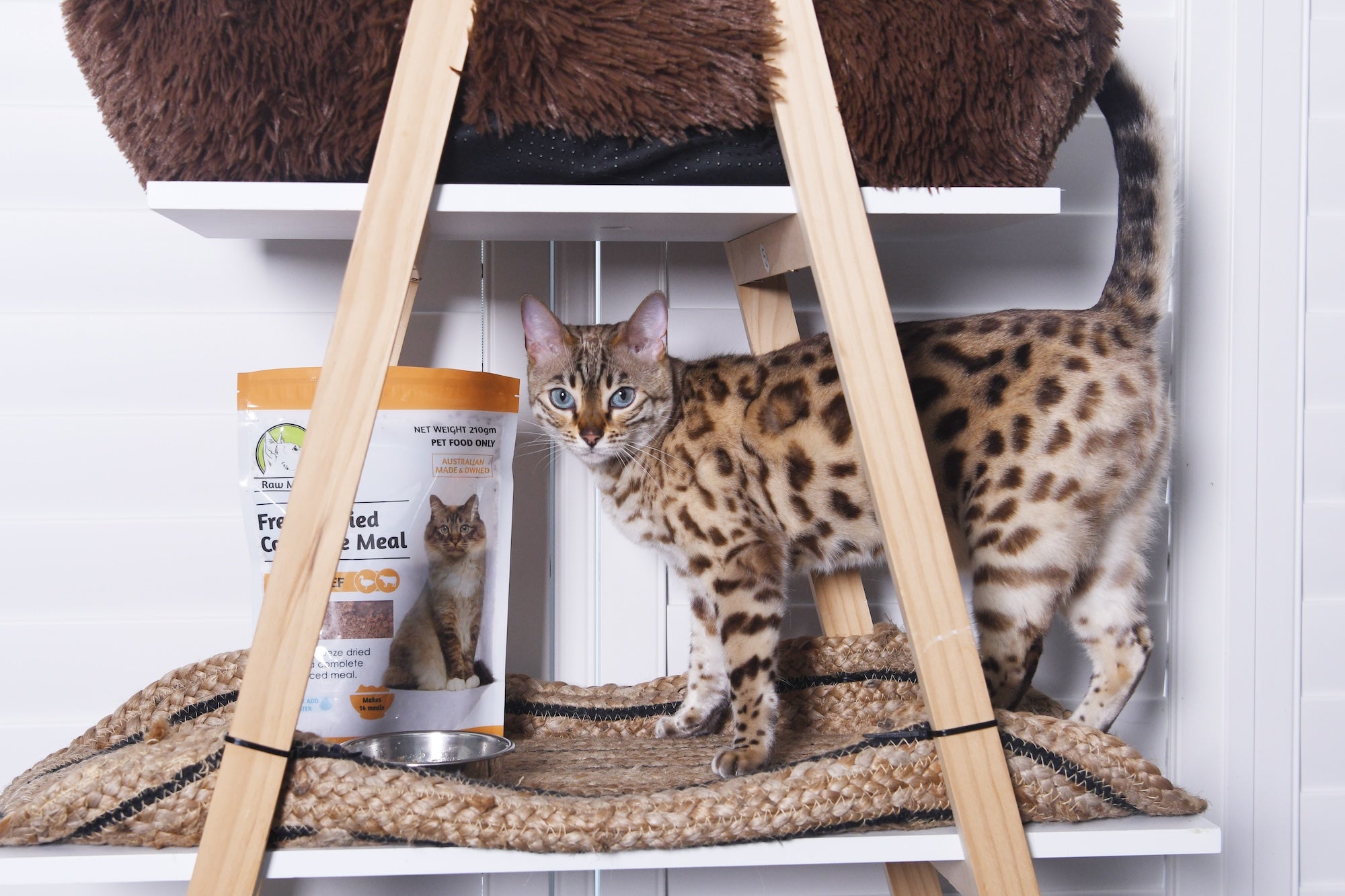 About Us – Raw Meow Pty Ltd